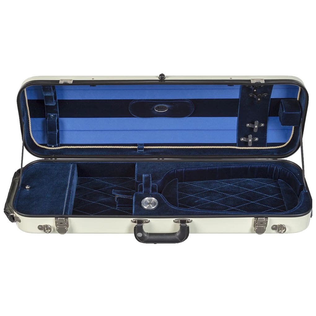 Violin Cases for Sale: Durable, Stylish & Affordable